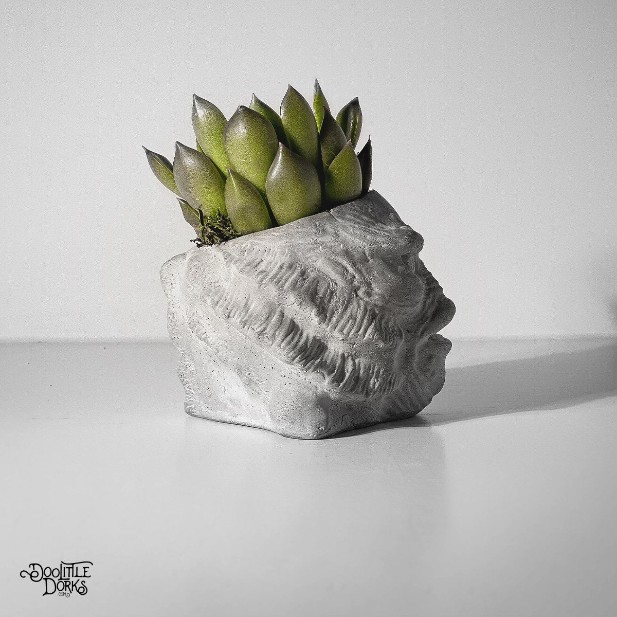 Creature Concrete Planter – Urban Jungle Dept.